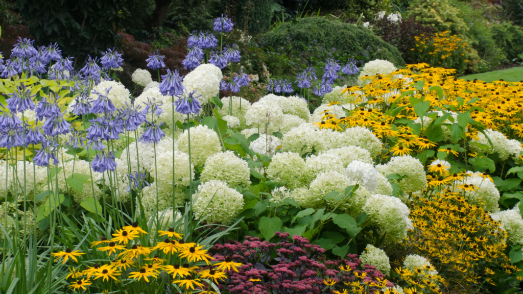 Vaste planten, wat zijn dat nu eigenlijk precies? - Vaste Tuinplanten